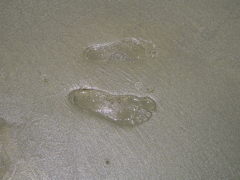 Footsteps on the Seaside. Walking on the Beach Stock Photo - Image of ...