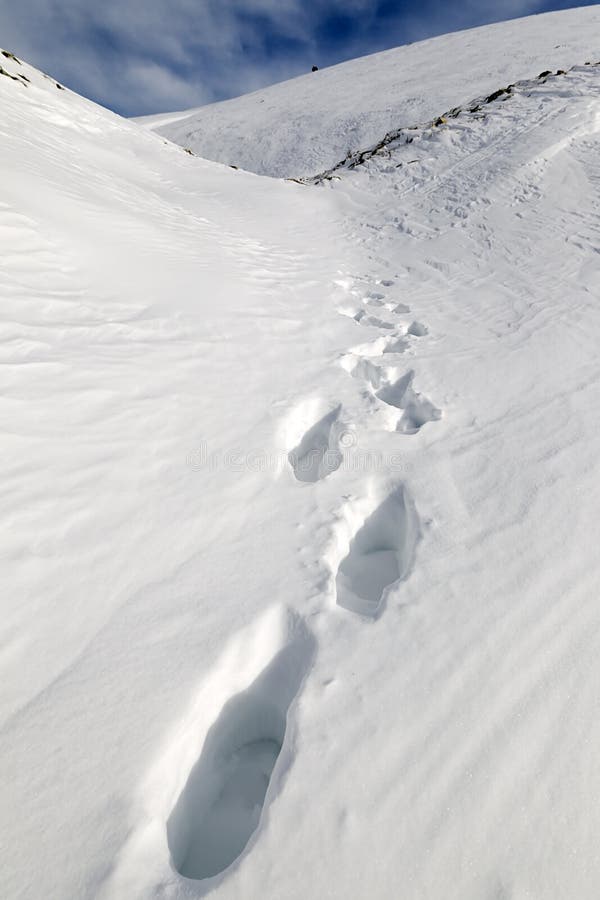 Footsteps on the snow stock image. Image of drift, secluded - 28511737