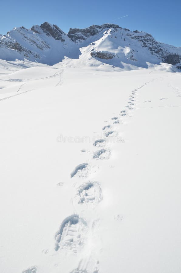 Footsteps on the snow stock photo. Image of forest, grand - 29557208
