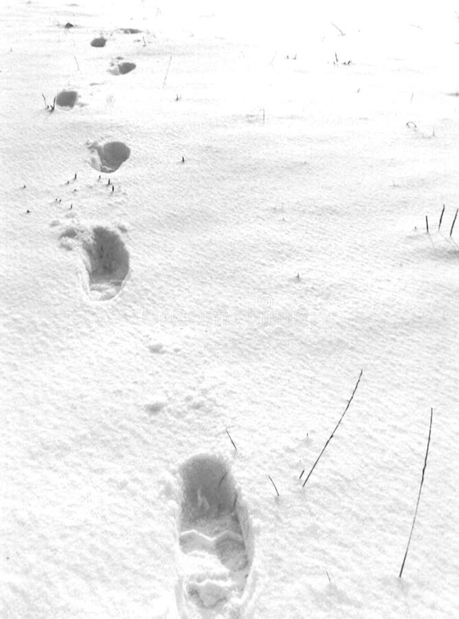 Footsteps in snow stock illustration. Illustration of snow - 6004213