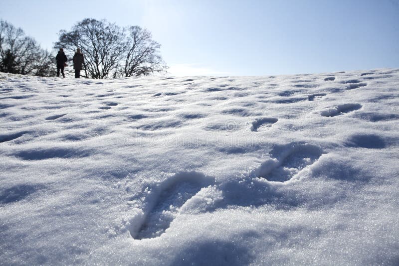 Footsteps in snow stock photo. Image of foot, fresh, view - 40535484