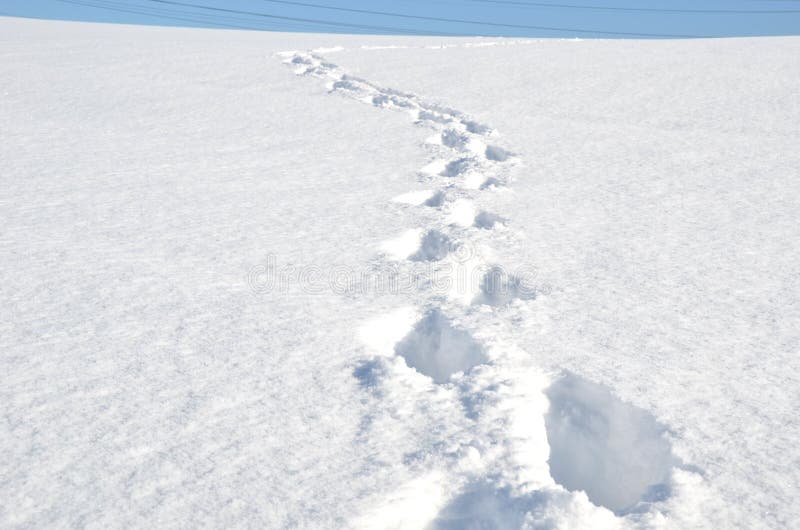 Footsteps on the snow stock photo. Image of horizon, dint - 34160618