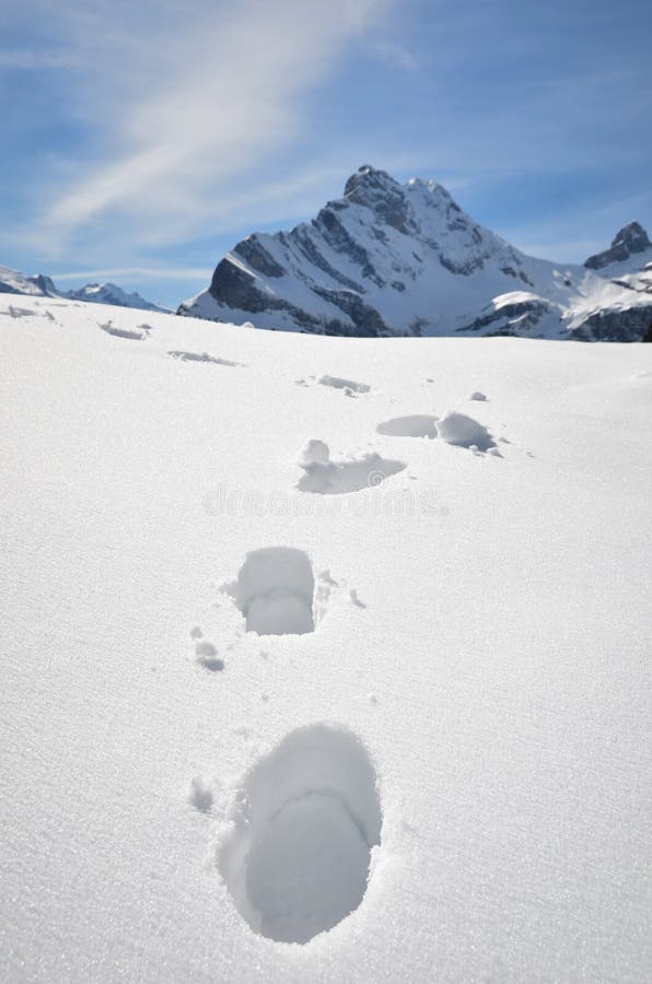 Footsteps on the snow stock image. Image of grand, drifted - 60969555