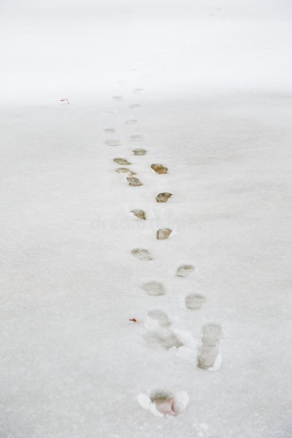 Footsteps on the snow stock photo. Image of snowbound - 88937370