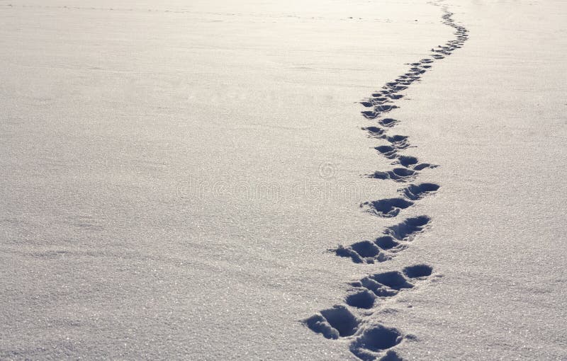 Footsteps on the Snow stock photo. Image of step, explorer - 39098352