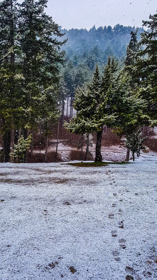 Leave your mark stock image. Image of leave, mark, footsteps - 108176097