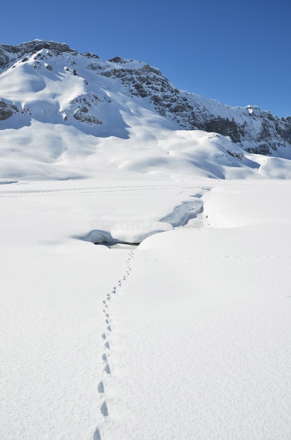 Footsteps on the snow stock image. Image of melchsee - 29842839
