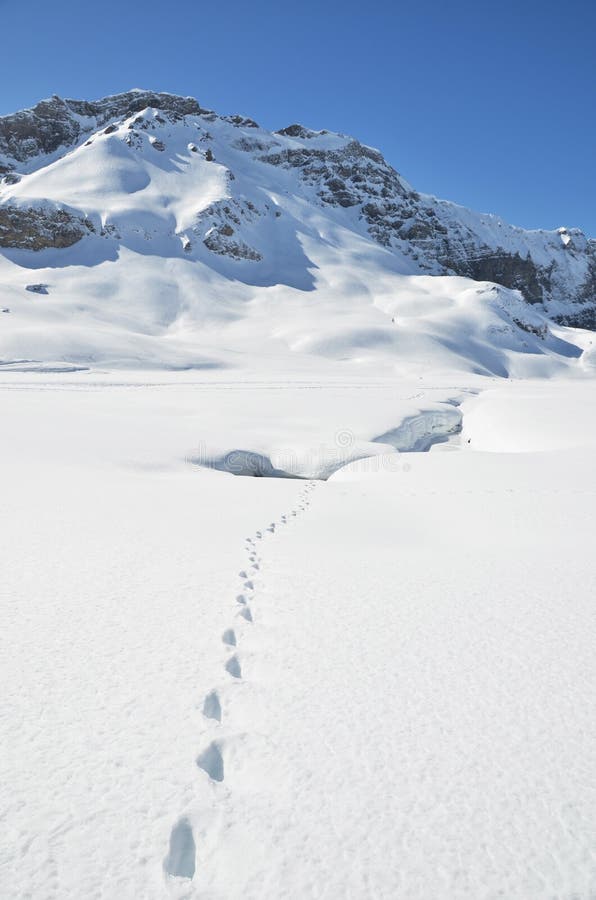 Footsteps on the snow stock image. Image of melchsee - 34628599