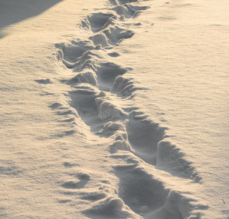 Footsteps stock image. Image of nature, snowbank, mountain - 37177569