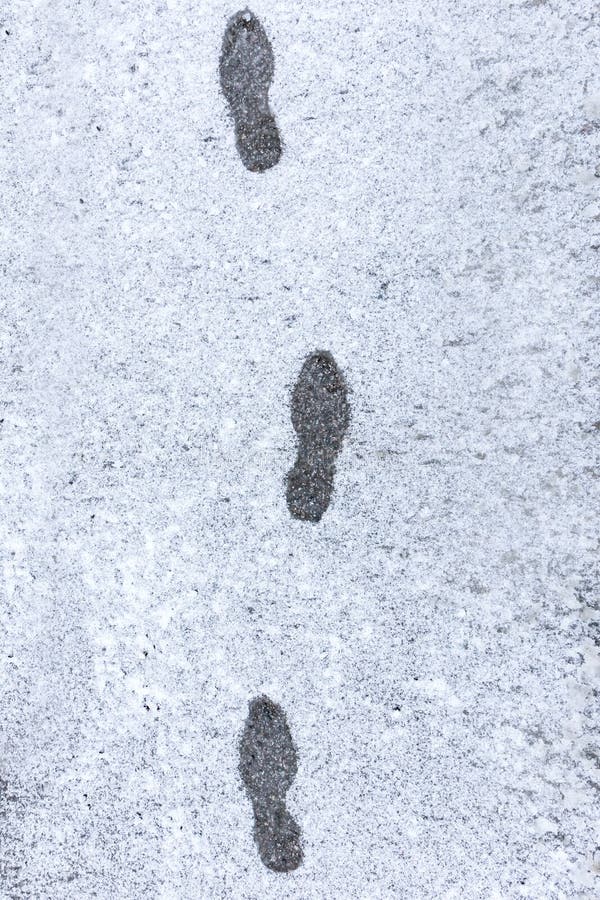 Footsteps in a Snowy Forest Stock Image - Image of scandinavia, natural ...