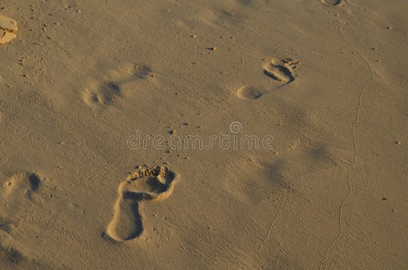 Footsteps in the Soft Sand of an Aruba Beach Stock Image - Image of ...