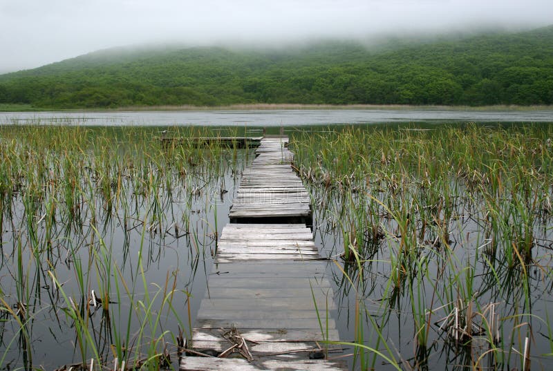 Footway. stock photo. Image of peaceful, landscape, herbage - 1022886