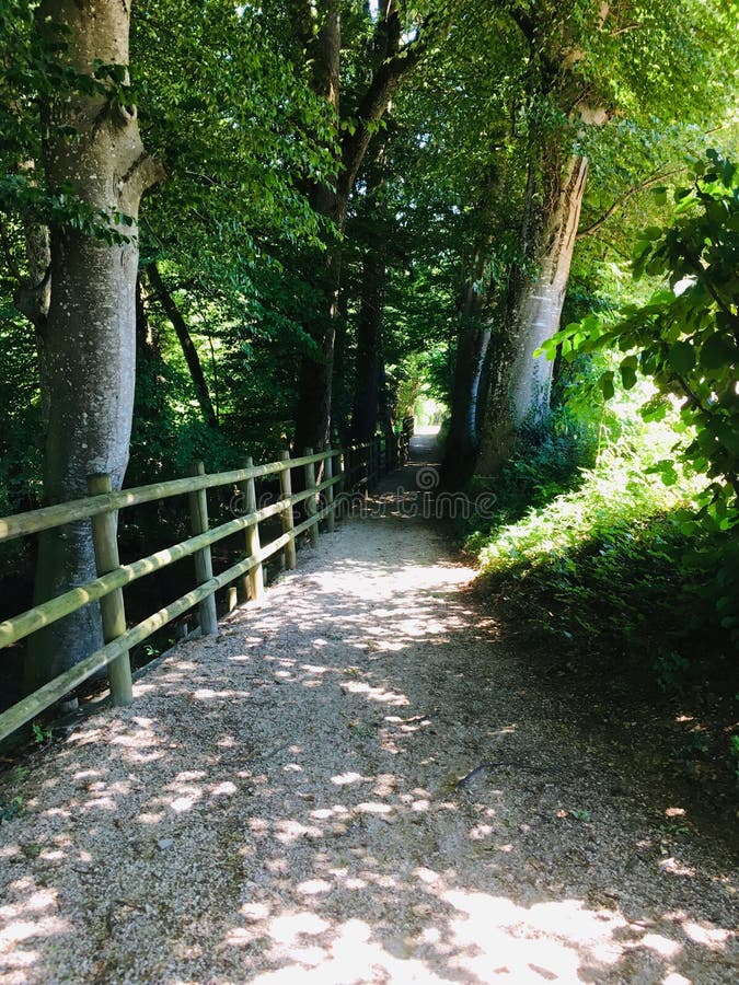 Genolier Stock Photos - Free & Royalty-Free Stock Photos from Dreamstime