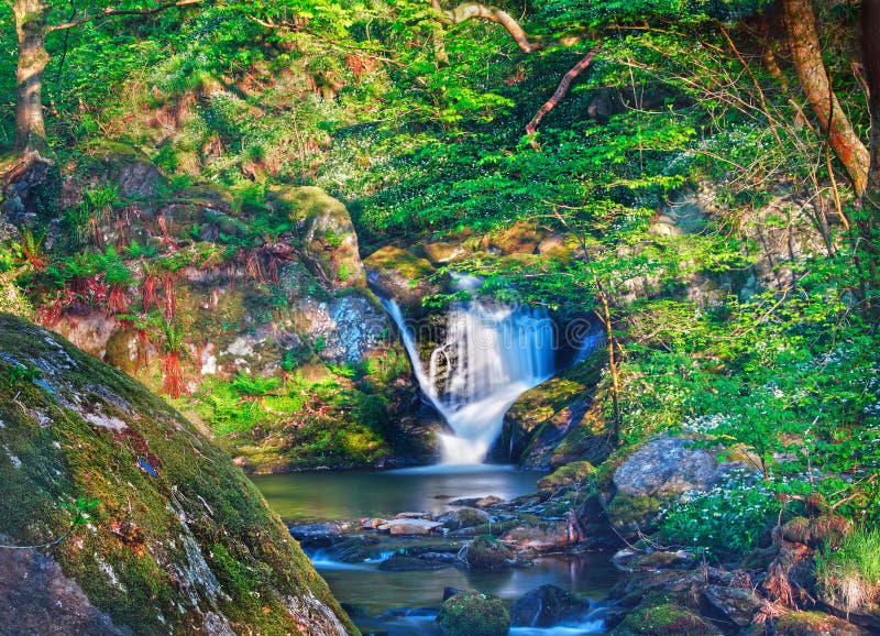 Forêt Enchantée De Conte De Fées Image stock - Image du secret ...