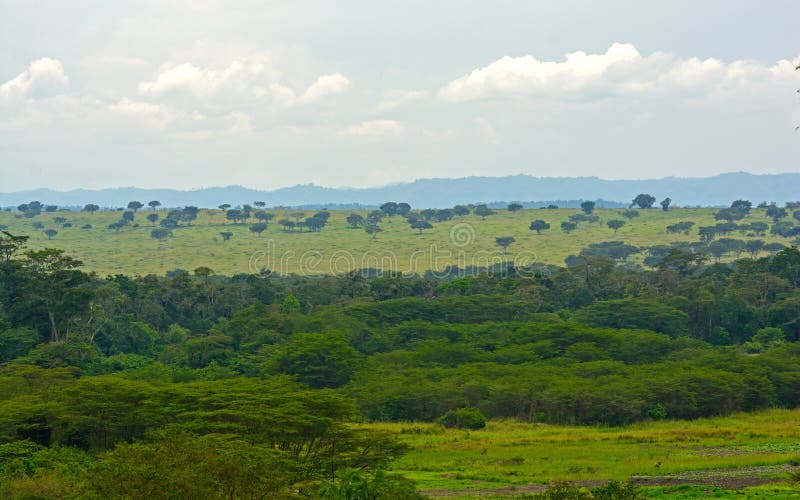 Parc National Douli, Congo De Conkouati De Lanscape De Mosaïque De La ...