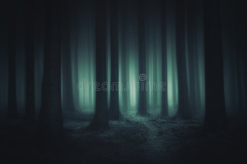 Forêt effrayante photo stock. Image du éclat, lumières - 52704700