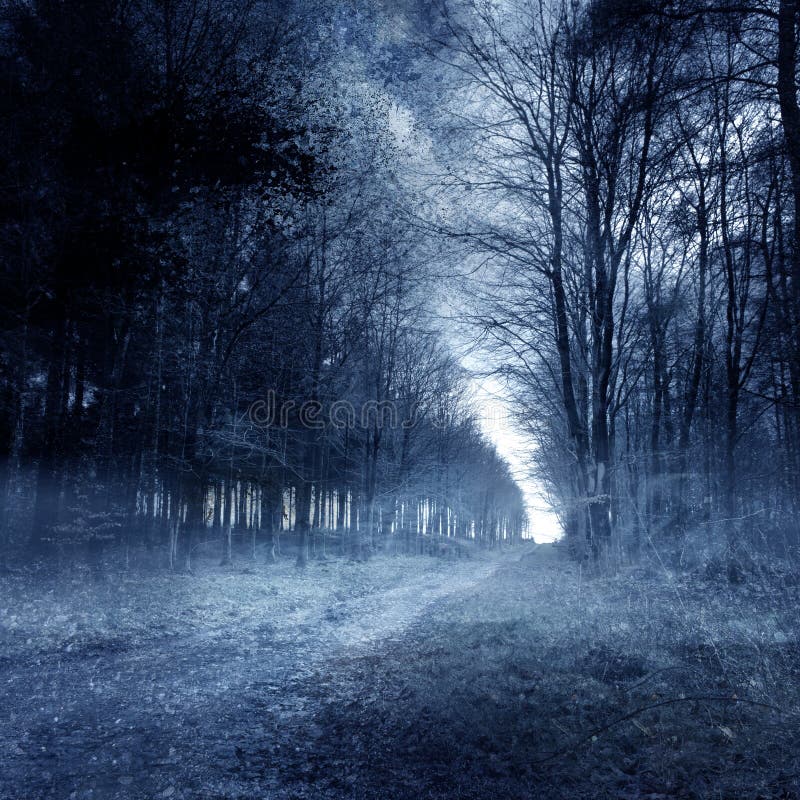 Forêt hantée image stock. Image du hanté, forêt, arbres - 29509711