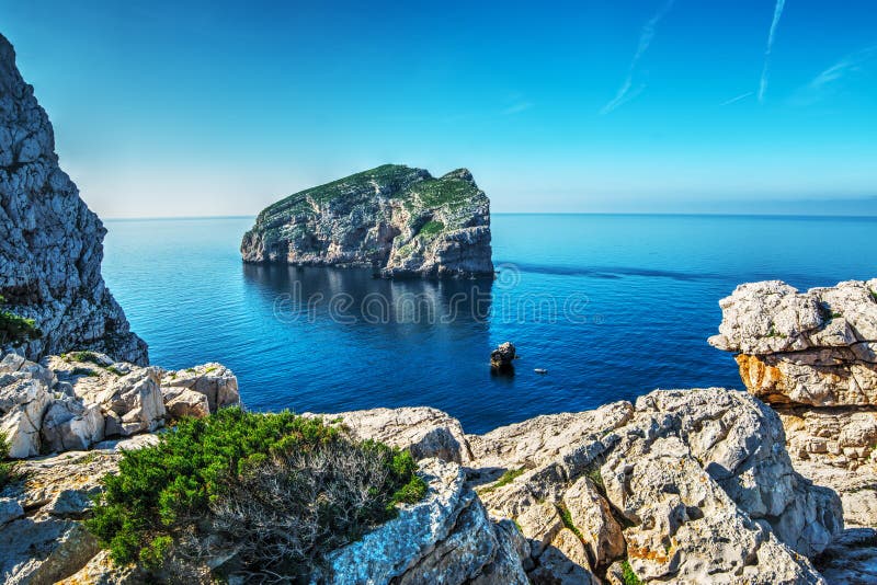 Foradada Island on a Clear Day Stock Image - Image of shoreline, water ...