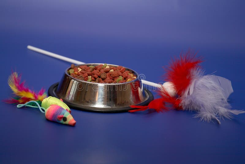 Forage for cats stock image. Image of blue, vitamins, forage - 7135643