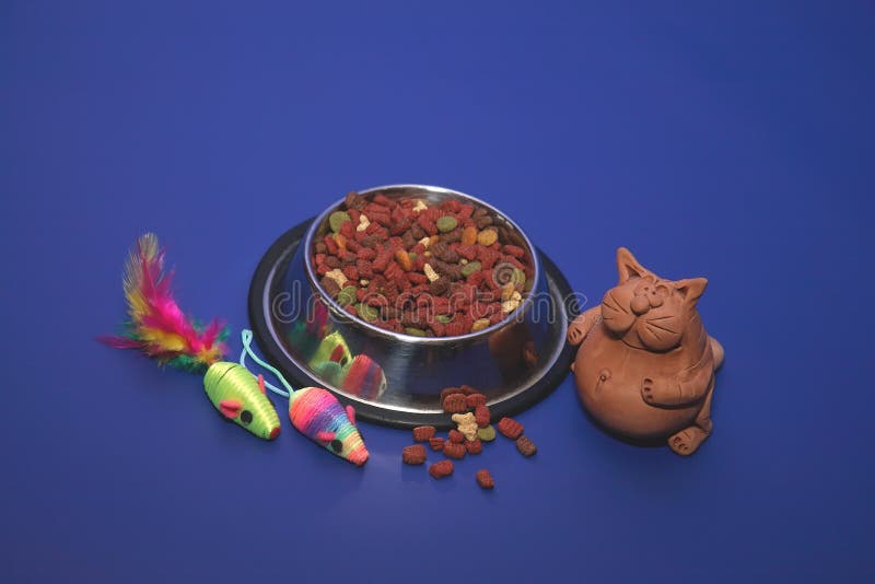 Forage for cats stock image. Image of blue, vitamins, forage - 7135643