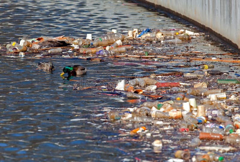 Garbage in lake stock image. Image of pollution, lake - 6520915