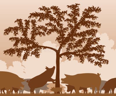 Pigs Eating Stock Illustrations – 443 Pigs Eating Stock Illustrations ...