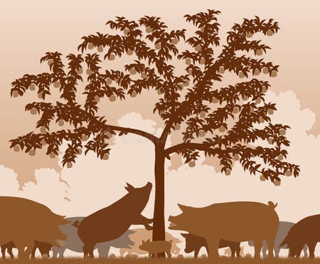Pigs Eating Stock Illustrations – 443 Pigs Eating Stock Illustrations ...