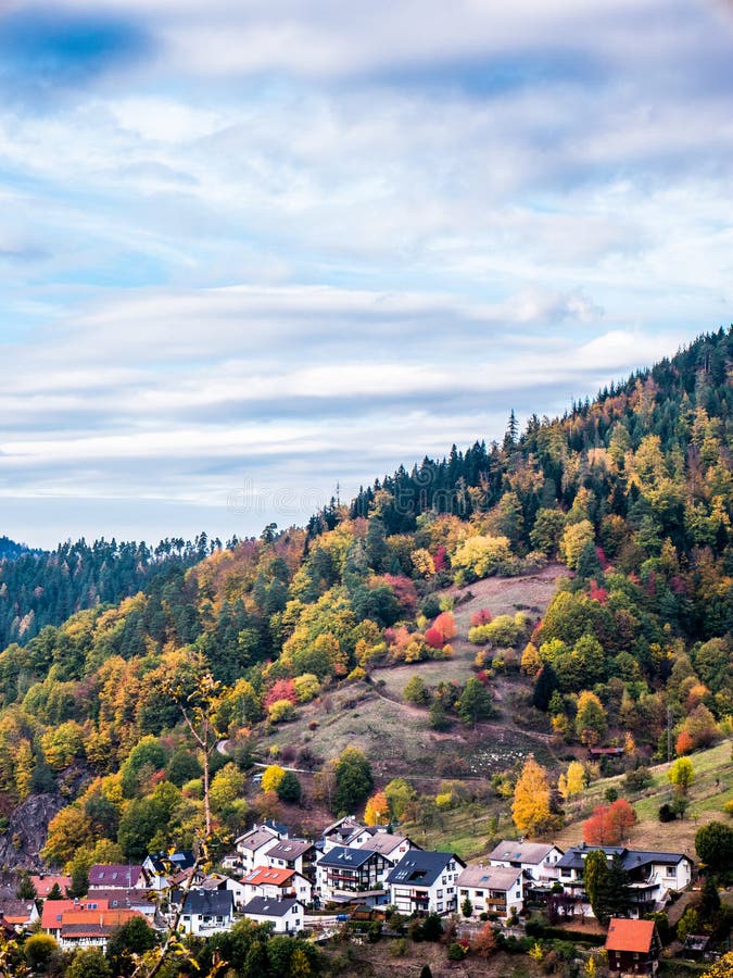 Forbach Hillside - Black Forest Stock Photo - Image of hillside, tree ...