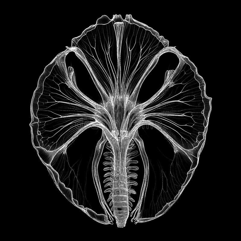 The Force of life dots stock illustration. Illustration of imaginary ...