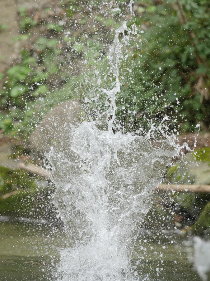 Force of water nature. stock photo. Image of dash, plash - 83388498