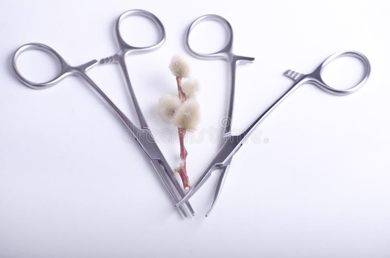 Forceps with small branch stock image. Image of equipment - 38349673