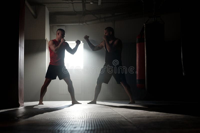 Forcing Practice of Two Male Boxers Stock Photo - Image of caucasian ...