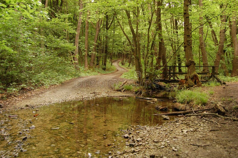 Ford And Bridge Picture. Image: 2603778