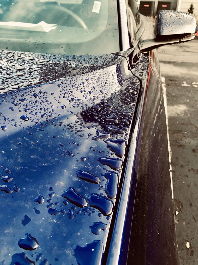 Rain Aftermath on Ford Mustang Stock Photo - Image of blue, rain: 152481376