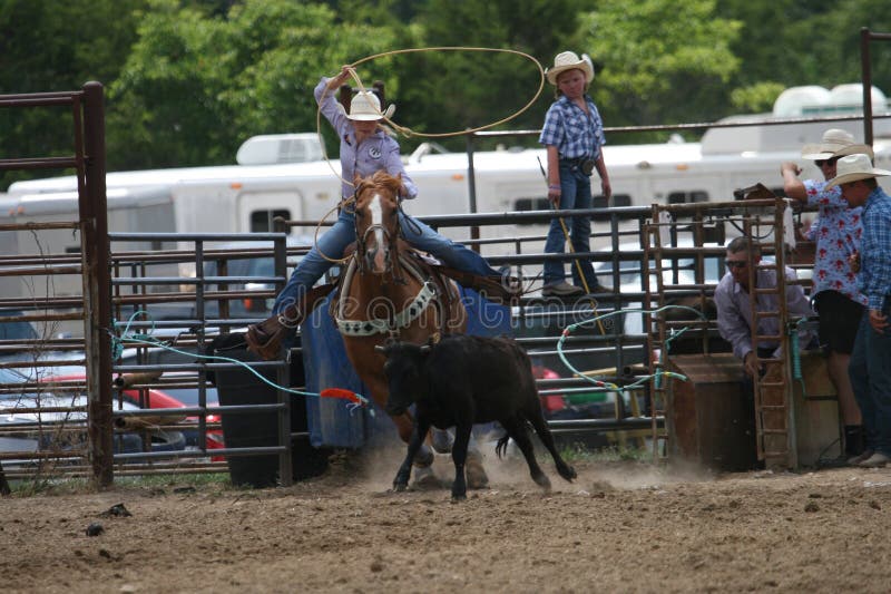 Fordland Rodeo 2023 LX editorial stock photo. Image of news - 283429253