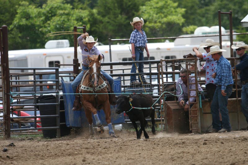 Fordland Rodeo 2023 LXI editorial photography. Image of jockey - 283429237