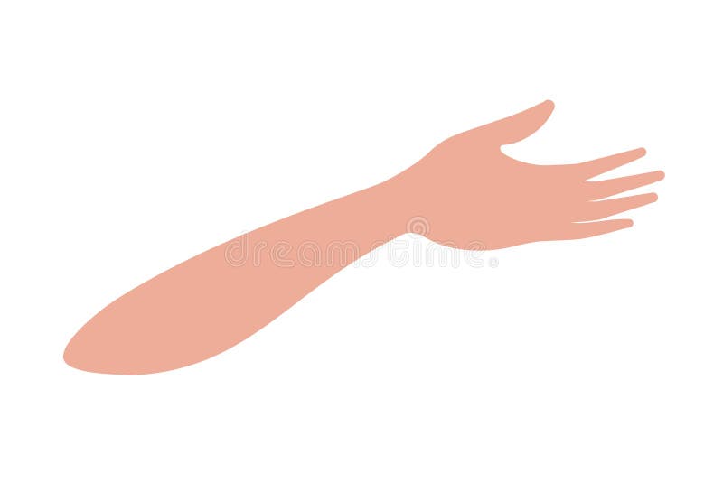 Forearm Stock Illustrations – 1,929 Forearm Stock Illustrations ...