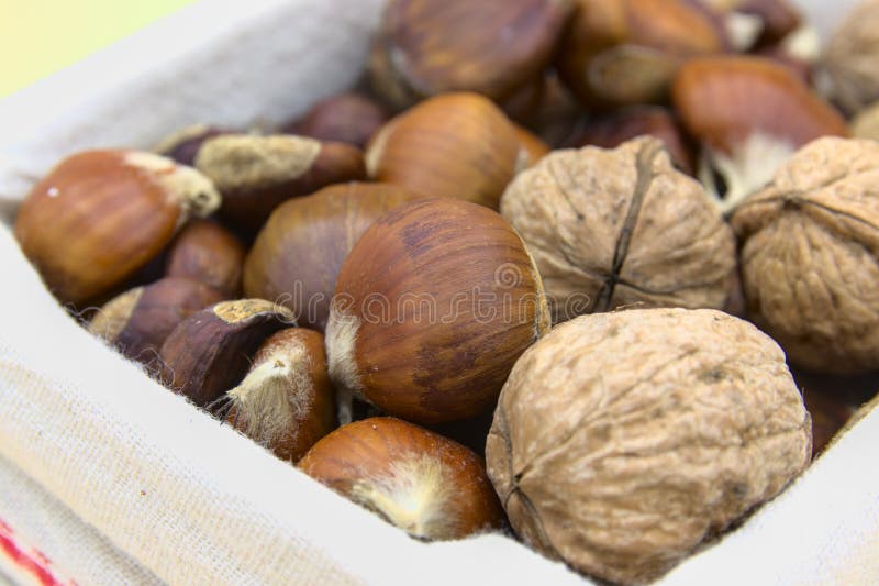 In the Foreground the Chestnuts and Walnuts Stock Photo - Image of ...