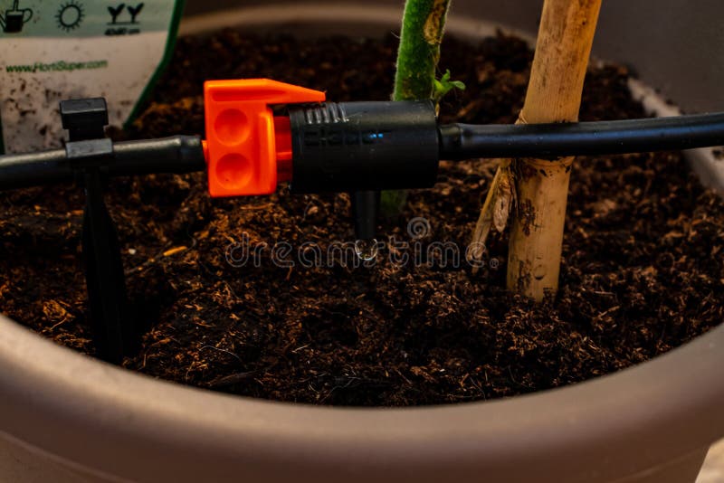 A Drop of Water from a Drip Irrigation System. Stock Image - Image of ...