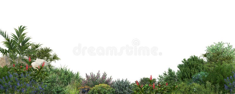 Foreground Flower and Plant on White Background Stock Illustration ...