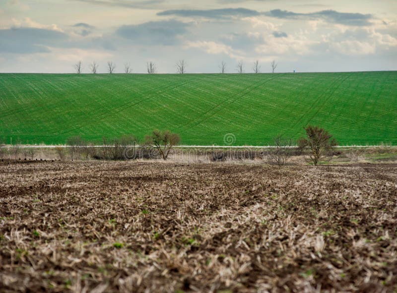Large Pieces of Soil from a Plowed Field, in the Background To a Green ...