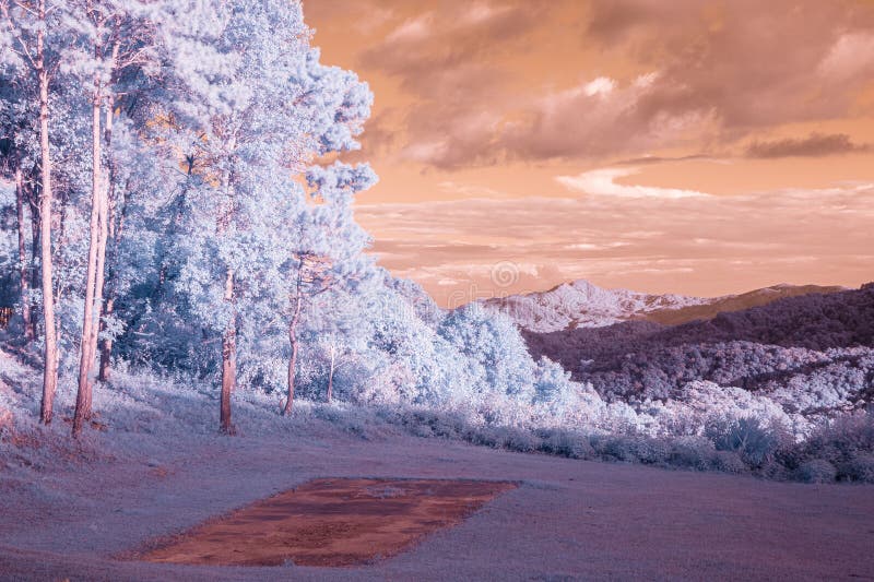 A Landscape with an Infrared Filter, Which Gives the Vegetation a Light ...