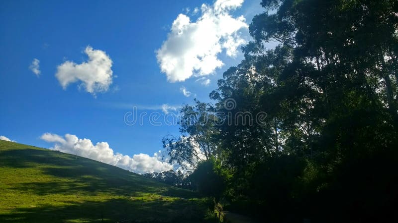 Foreground Tree in Landscape Stock Image - Image of tree, plants: 137863971