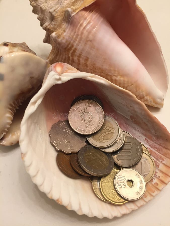 Foreign shores stock photo. Image of shells, shores, foreign - 66361758