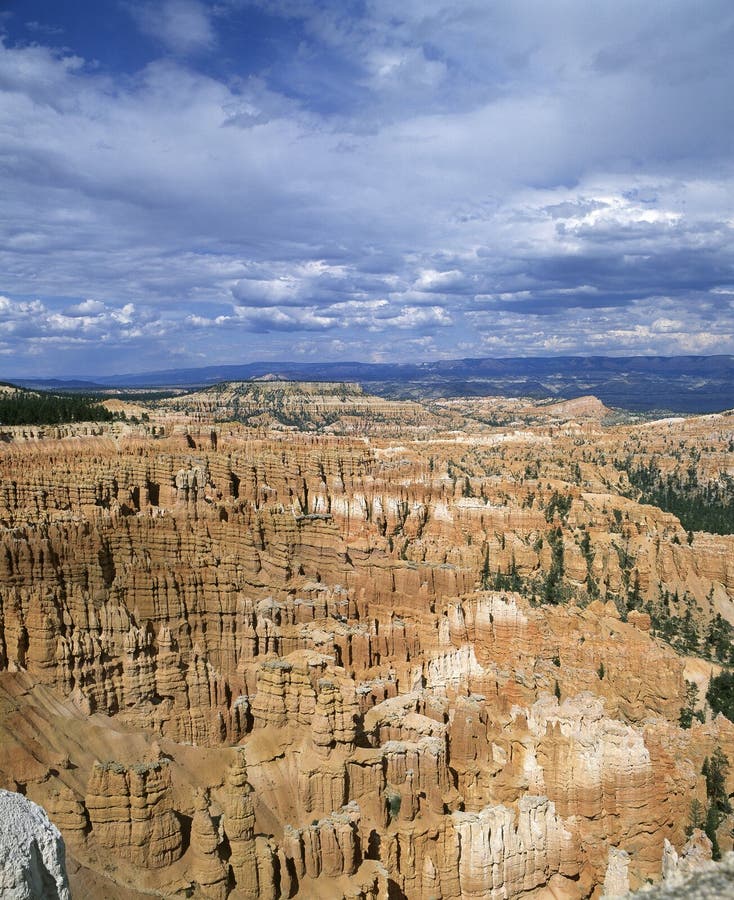 Foreign Trip stock image. Image of desert, tour, field - 81555215