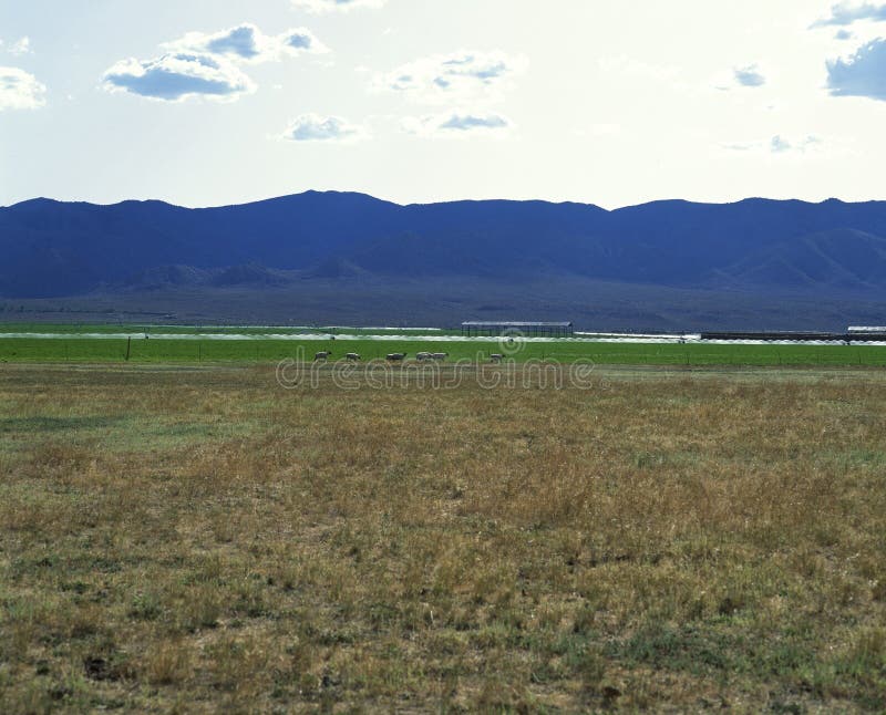 Foreign Trip stock image. Image of trip, beautiful, scenery - 81556323