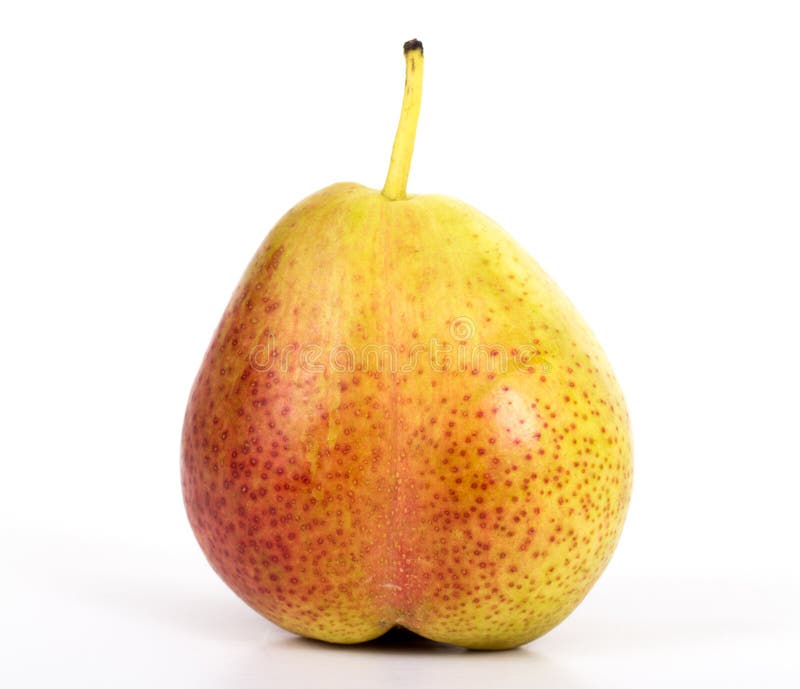Forelle Pear stock photo. Image of fibre, organic, juicy - 10323076