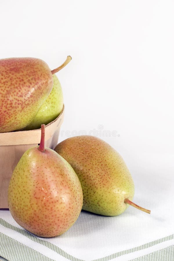 Forelle Pears stock photo. Image of agriculture, sweet - 19876128