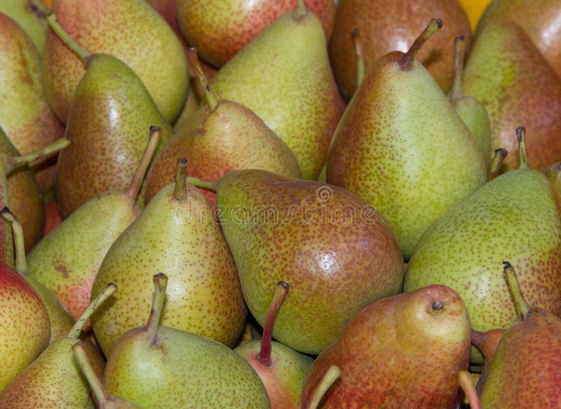 Forelle Pears stock photo. Image of market, fresh, forelle - 42461494