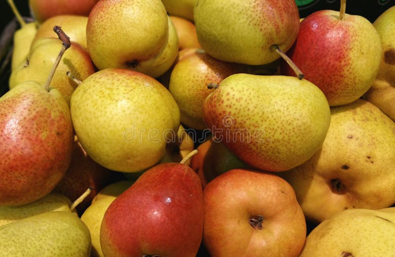 Forelle Pears stock image. Image of yellow, healthy, fruit - 47183407